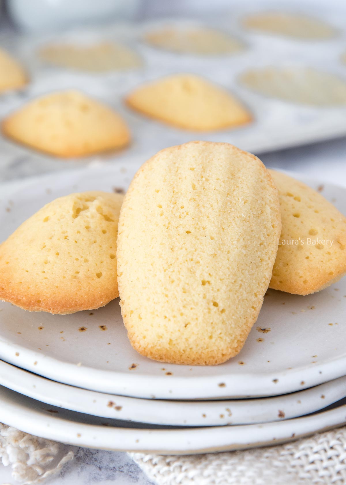 Easy Madeleine Recipe - In Laura's Bakery